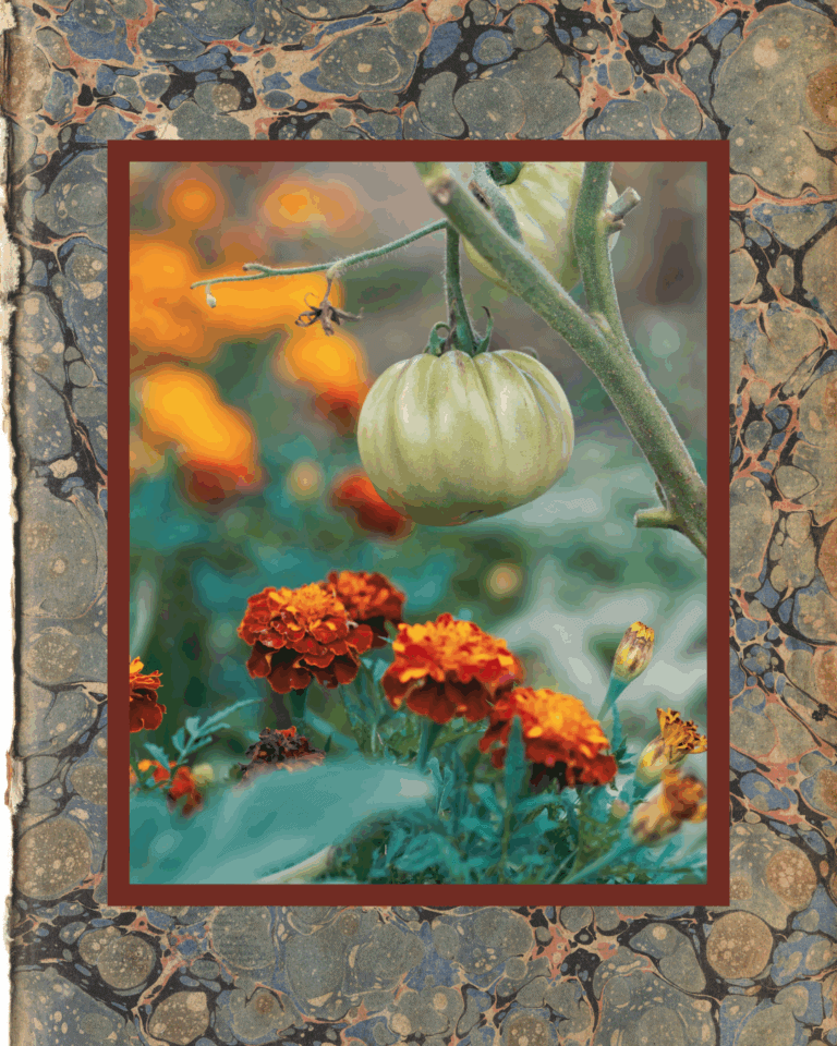 Wool Mattress Topper | Highest Quality Guaranteed | CuddleEwe™